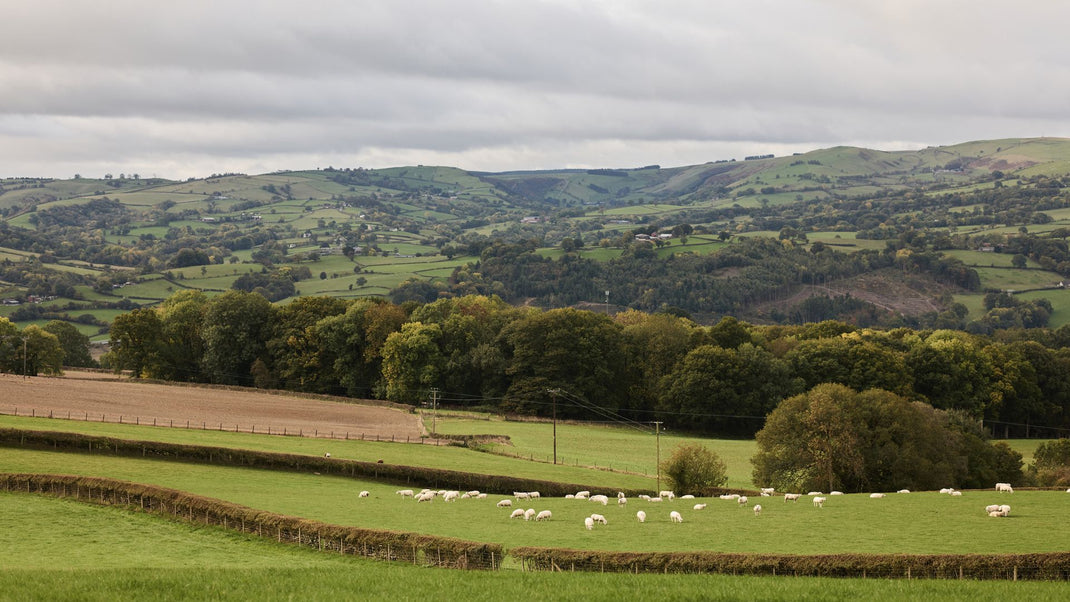 Red House Farm, Powys - Where Welsh Hills Meet Woolroom’s Deluxe Comfo